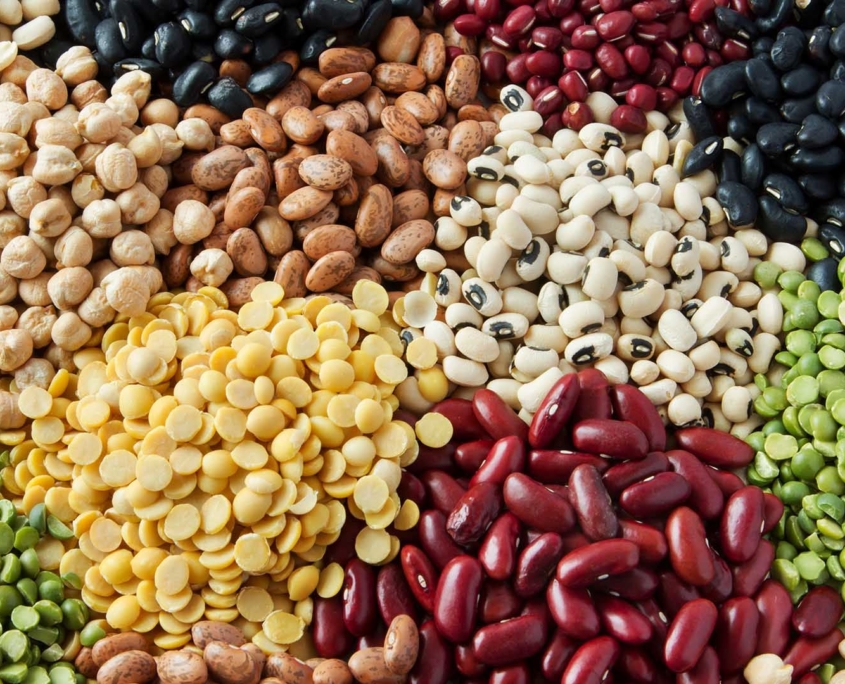 Megnacio Co. Ltd – Agribusiness Commodities